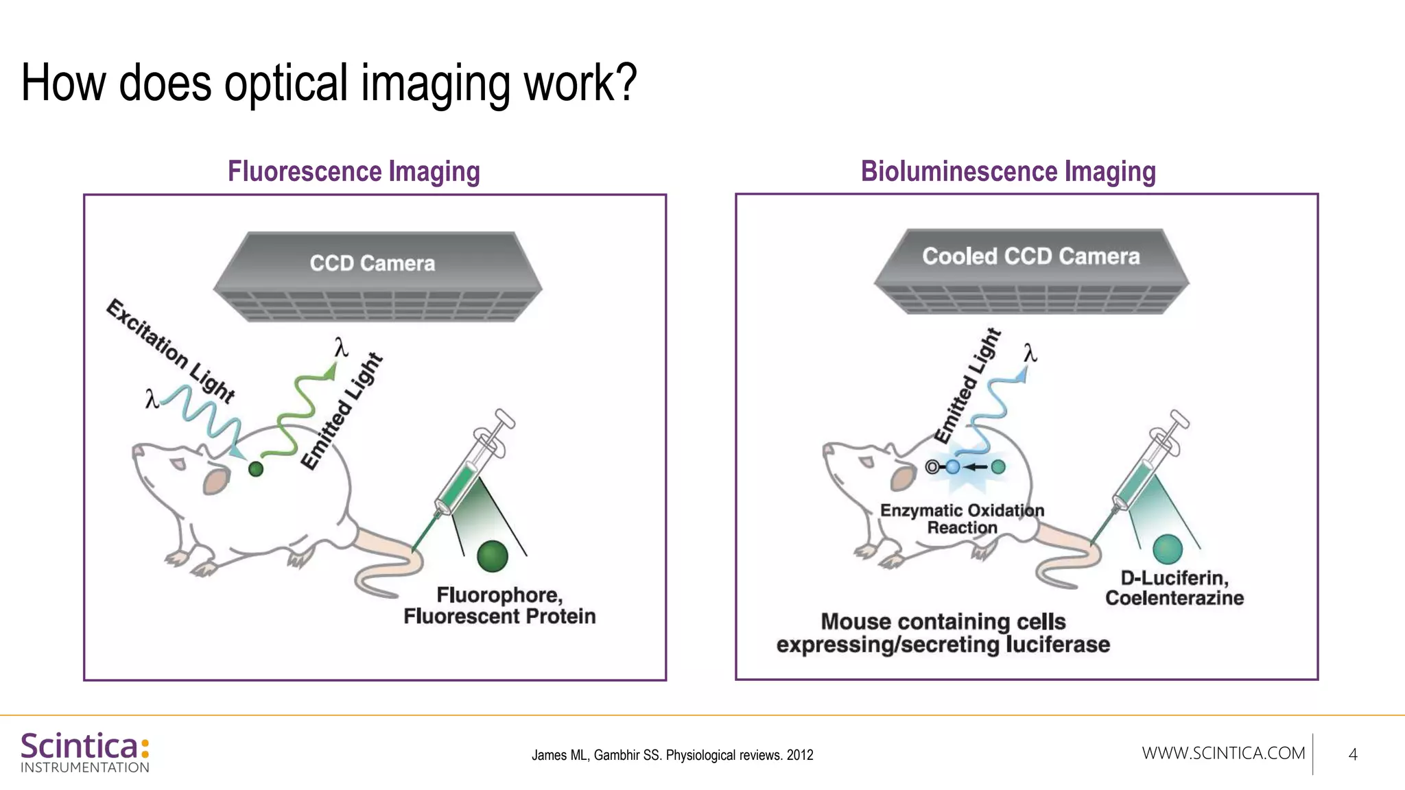 (May 17, 2021) Introducing the Newton 7.0 Optical Imaging System: The Modality, System Features ...