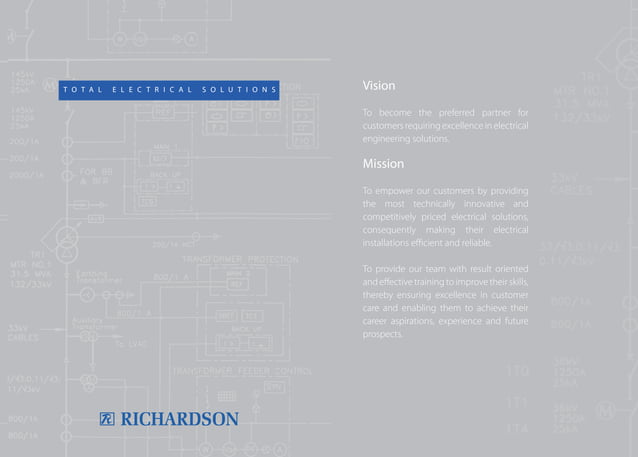 Richardson Company Profile | PDF