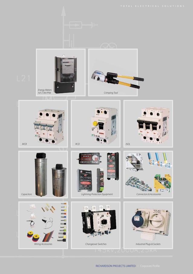 Richardson Company Profile | PDF