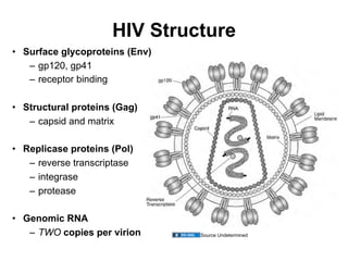 05.06.09: HIV | PPT