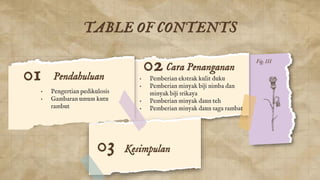 050_Rizka Amelia_4B_URBAN ENTOMOLOGI.pdf.pptx