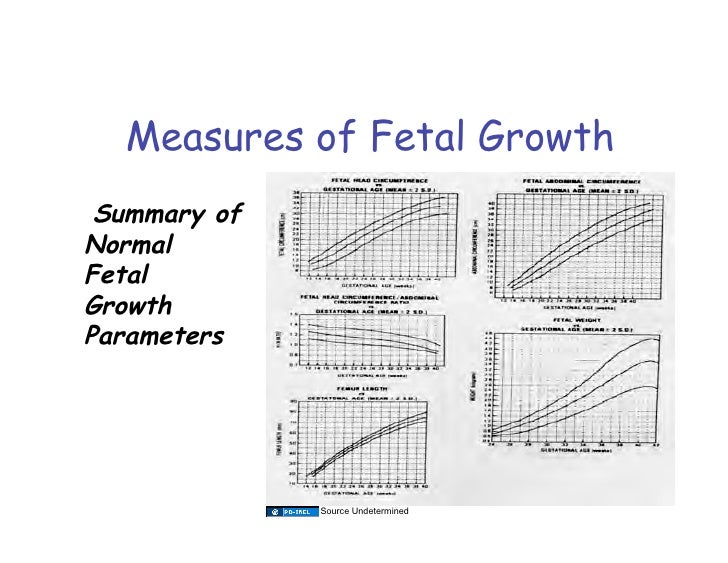 05.11.09(b): Fetal and Neonatal Development