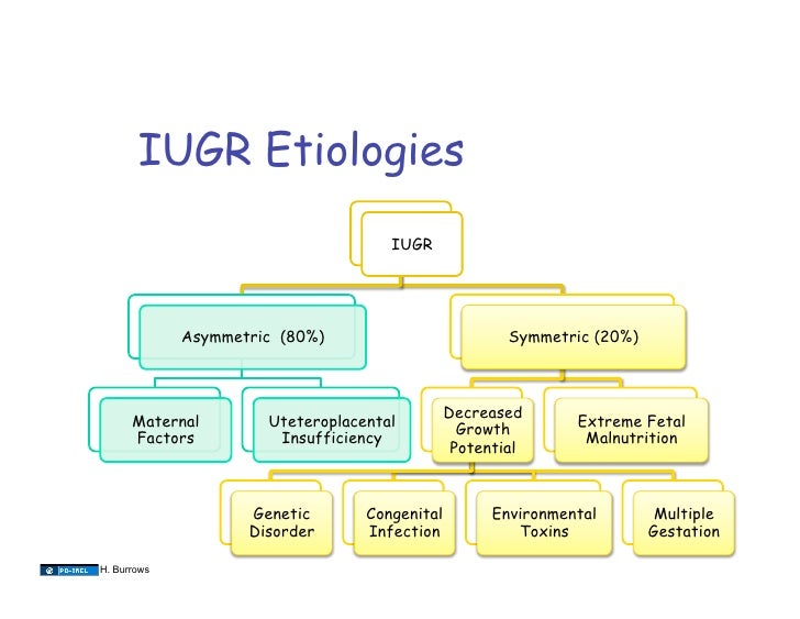 05.11.09(b): Fetal and Neonatal Development
