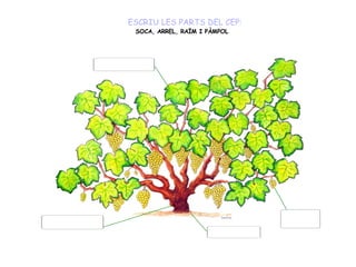 05122015 114613 | PPT