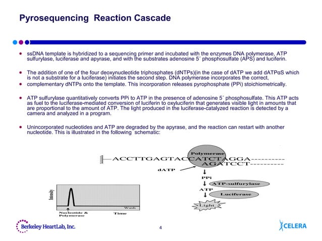 Pyrosequencing slide presentation rev3. | PPT