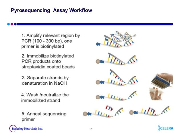 Pyrosequencing slide presentation rev3.