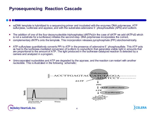 Pyrosequencing Ppt PPT PYROSEQUENCING PowerPoint Presentation