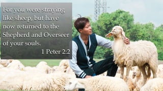 Shepherd and Overseer | PDF