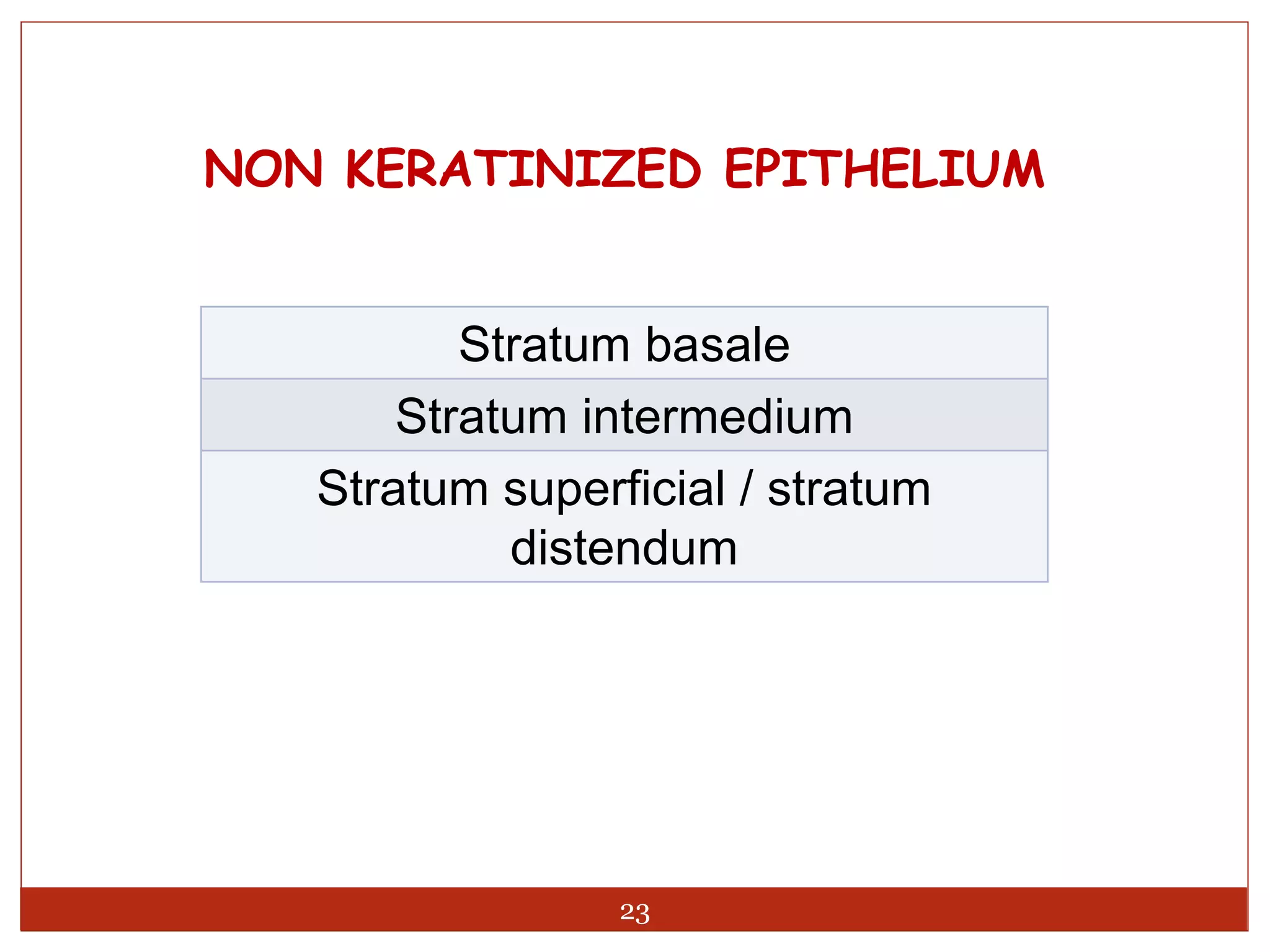 Oral mucous membrane - Oral mucosa | PPTX