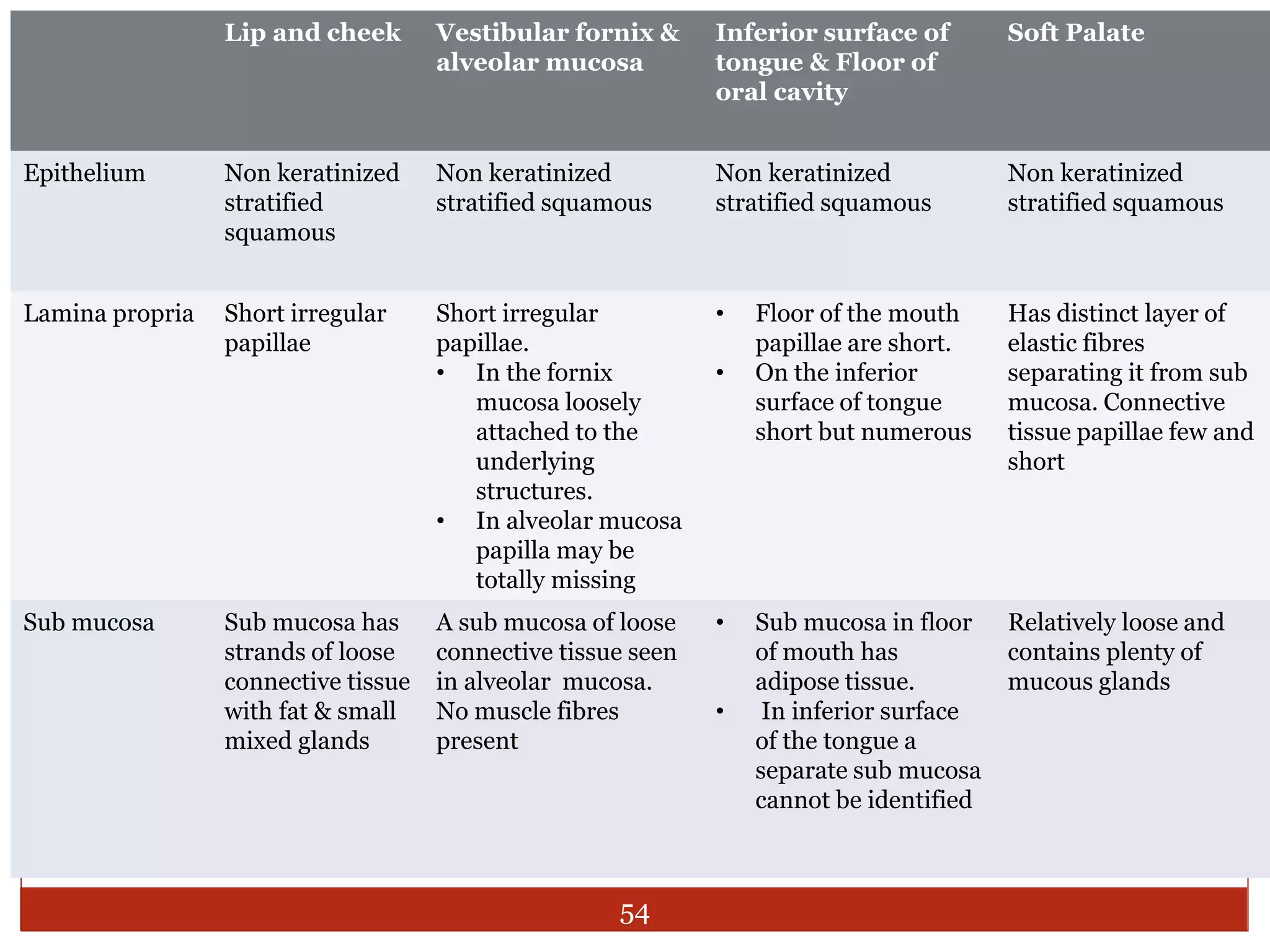 Oral mucous membrane - Oral mucosa | PPTX