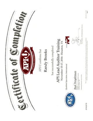 API Q1 Lead Auditor | PDF