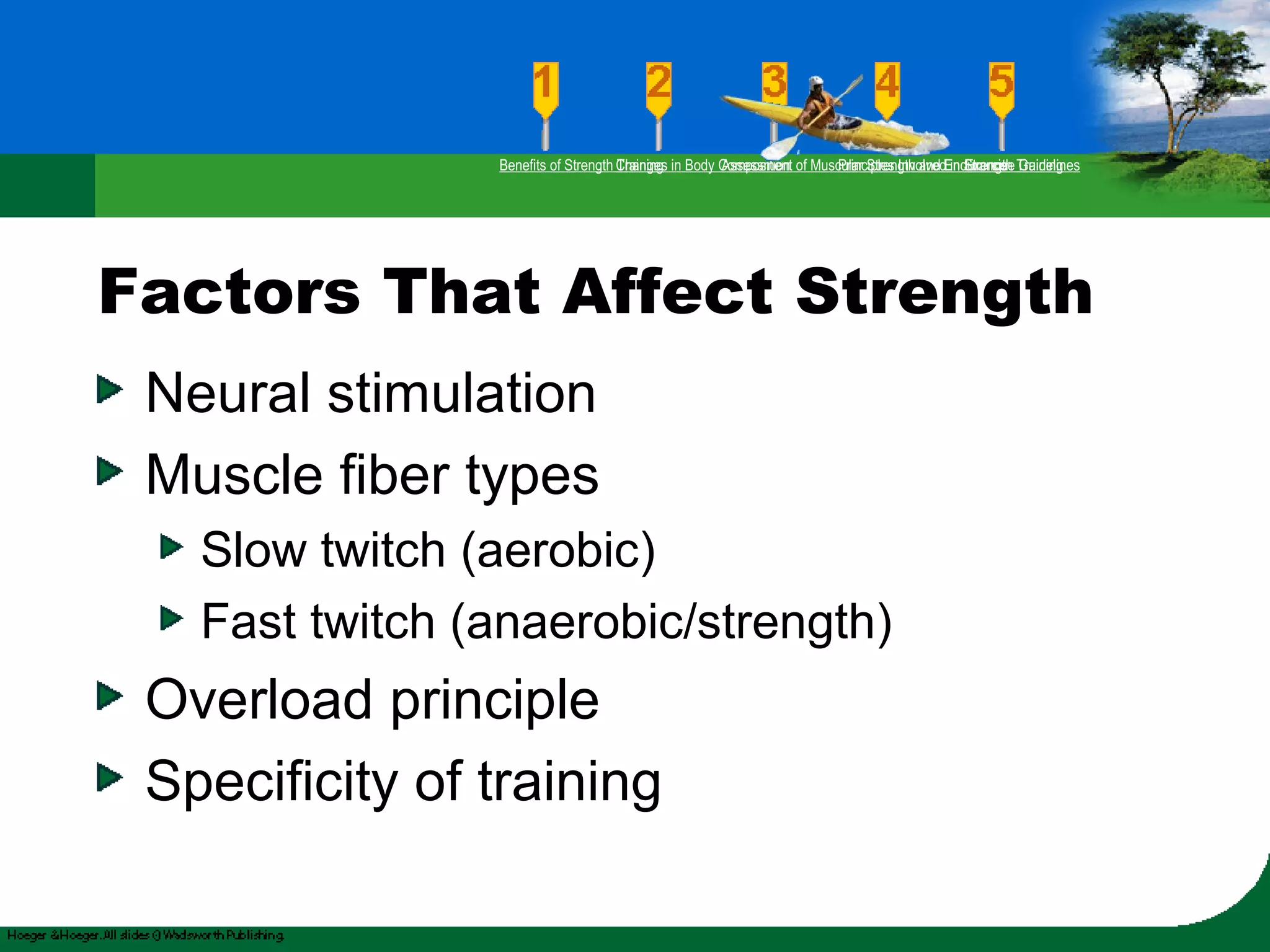 muscle strength endurance | PPT