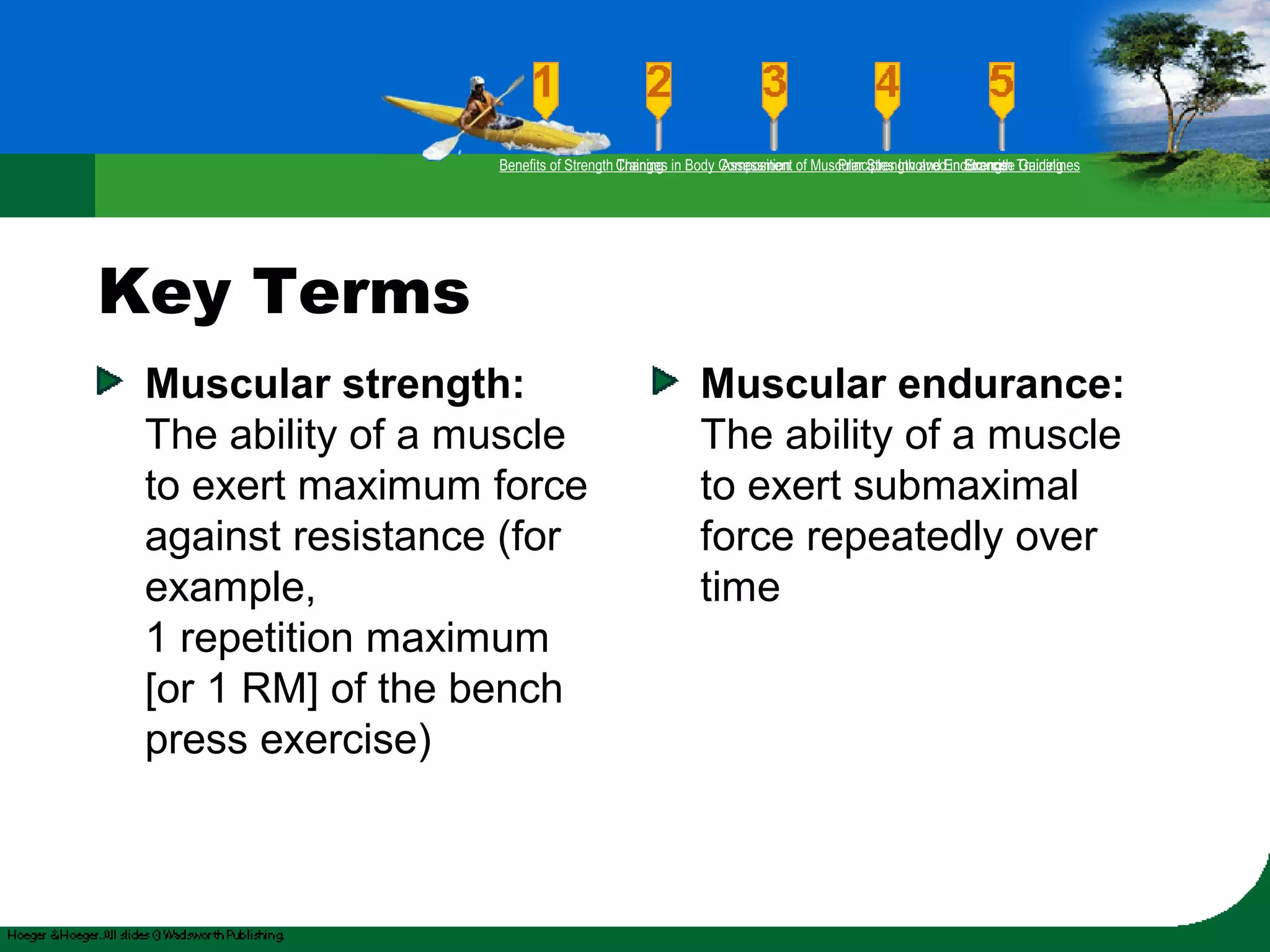 muscle strength endurance | PPT | Fitness and Exercise | Healthy Living