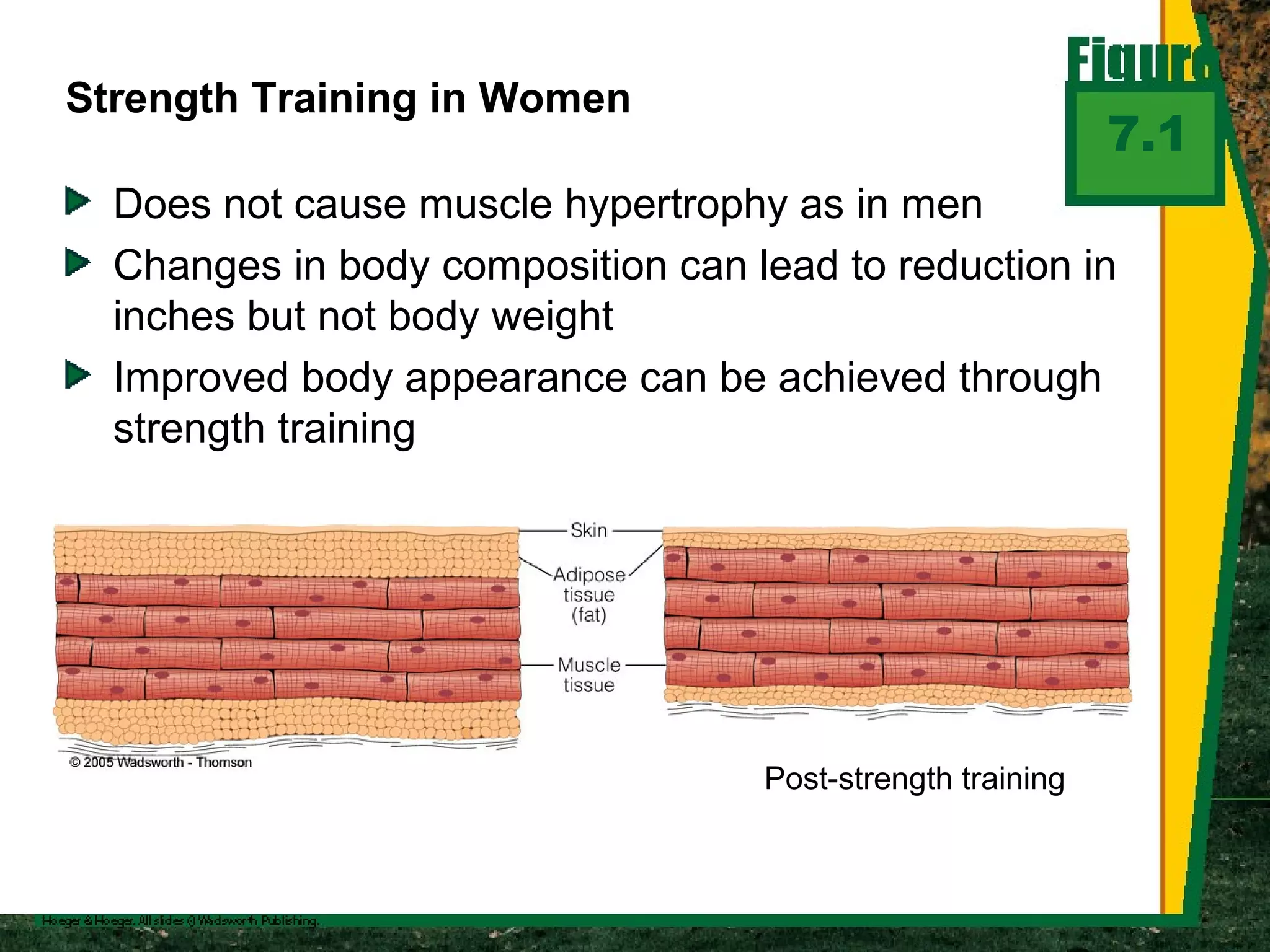muscle strength endurance | PPT | Fitness and Exercise | Healthy Living