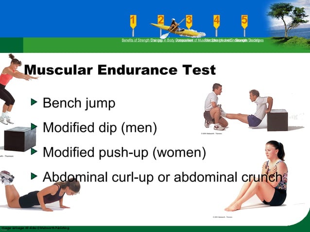 muscle strength endurance | PPT | Fitness and Exercise | Healthy Living