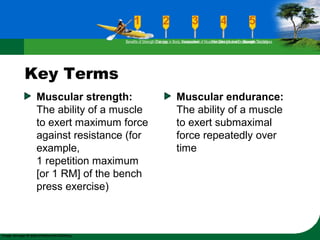 muscle strength endurance | PPT