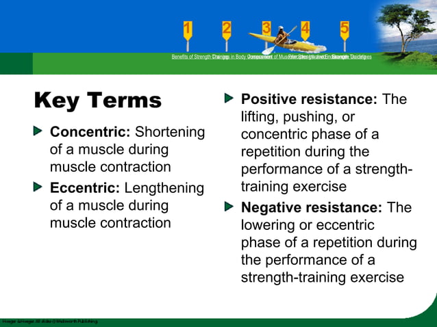 muscle strength endurance | PPT | Fitness and Exercise | Healthy Living