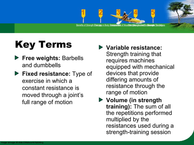 muscle strength endurance | PPT | Fitness and Exercise | Healthy Living
