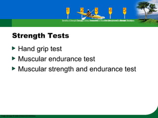 muscle strength endurance | PPT