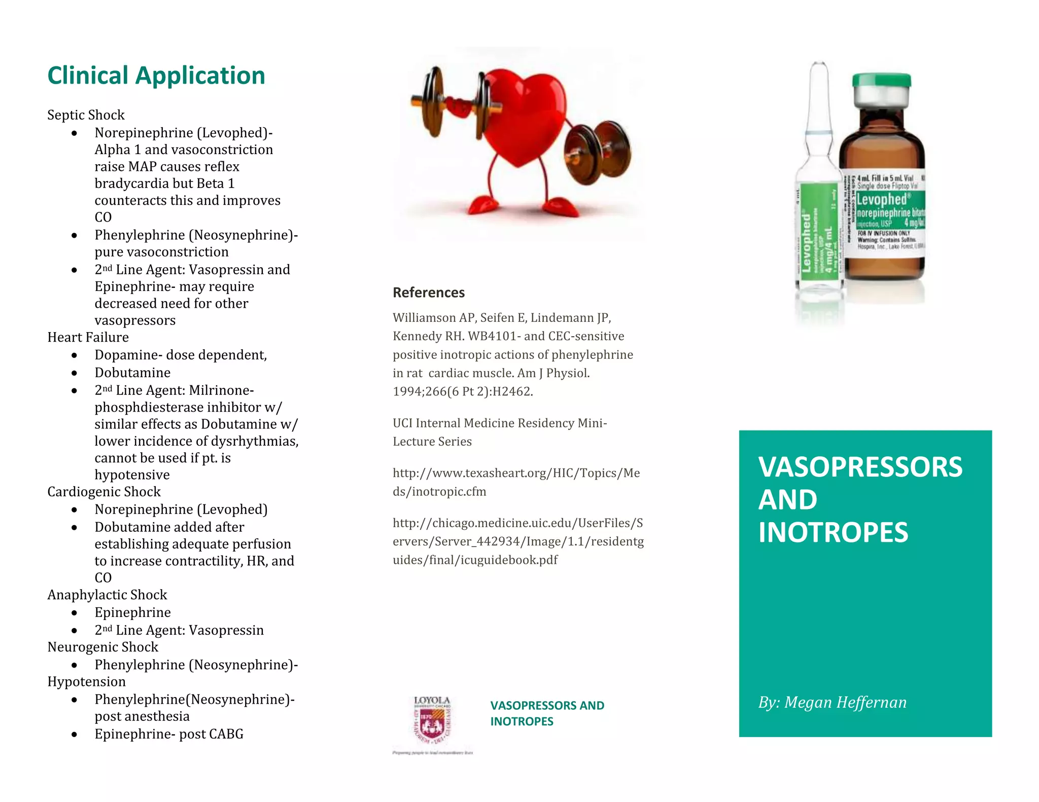Vasopressor Brochure | DOCX