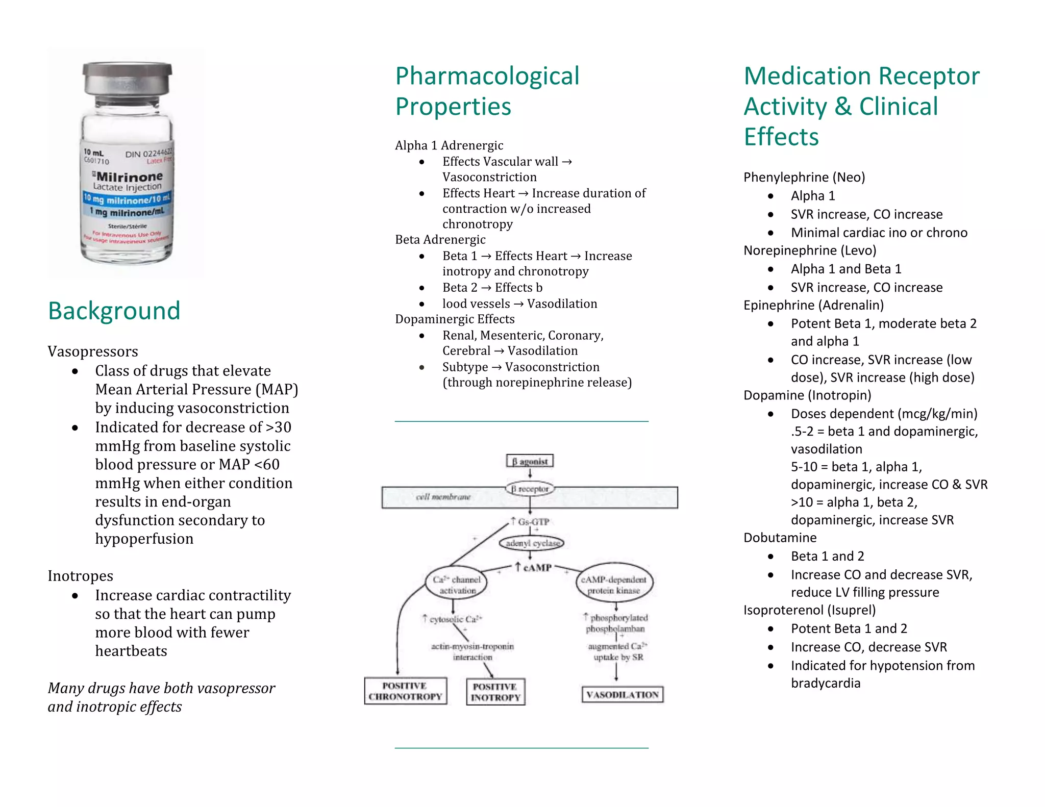 Vasopressor Brochure | DOCX