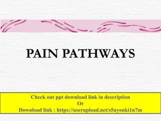 The General Pain Pathways | PPT