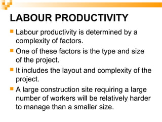 056 Labour Productivity | PPT