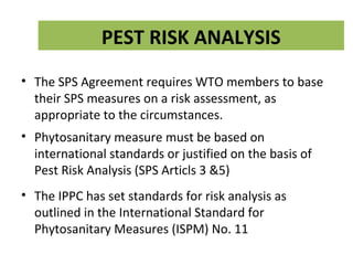 Indonesia challenges | PPT