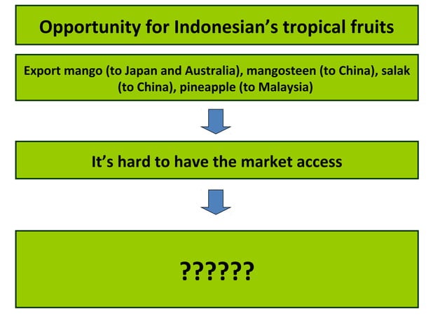 Indonesia challenges | PPT