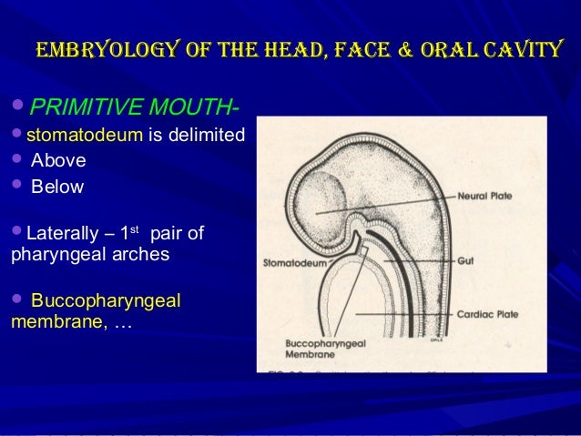 Developmental anomalies of face and applied aspects