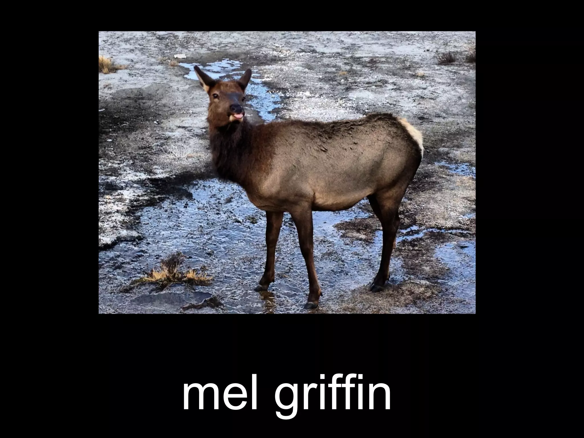 NCECA 2014: Mel Griffin | PPT | Drawing and Sketching | Arts and Crafts