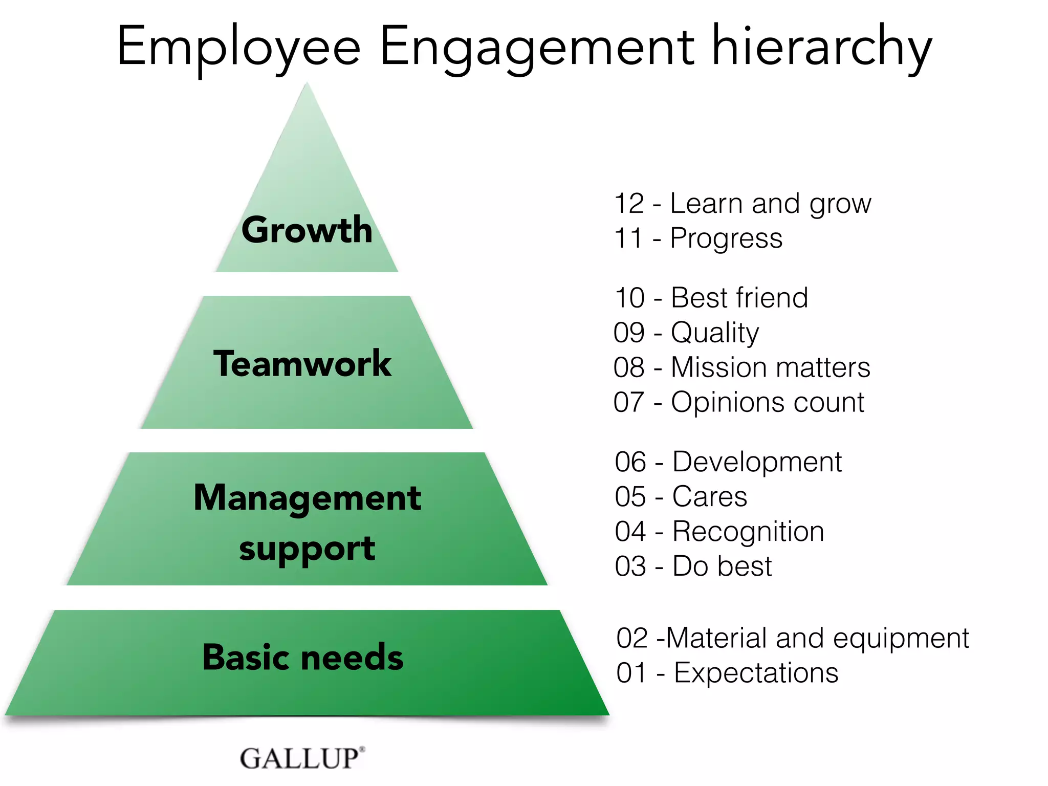 Gallup Q12 employee engagement | PDF