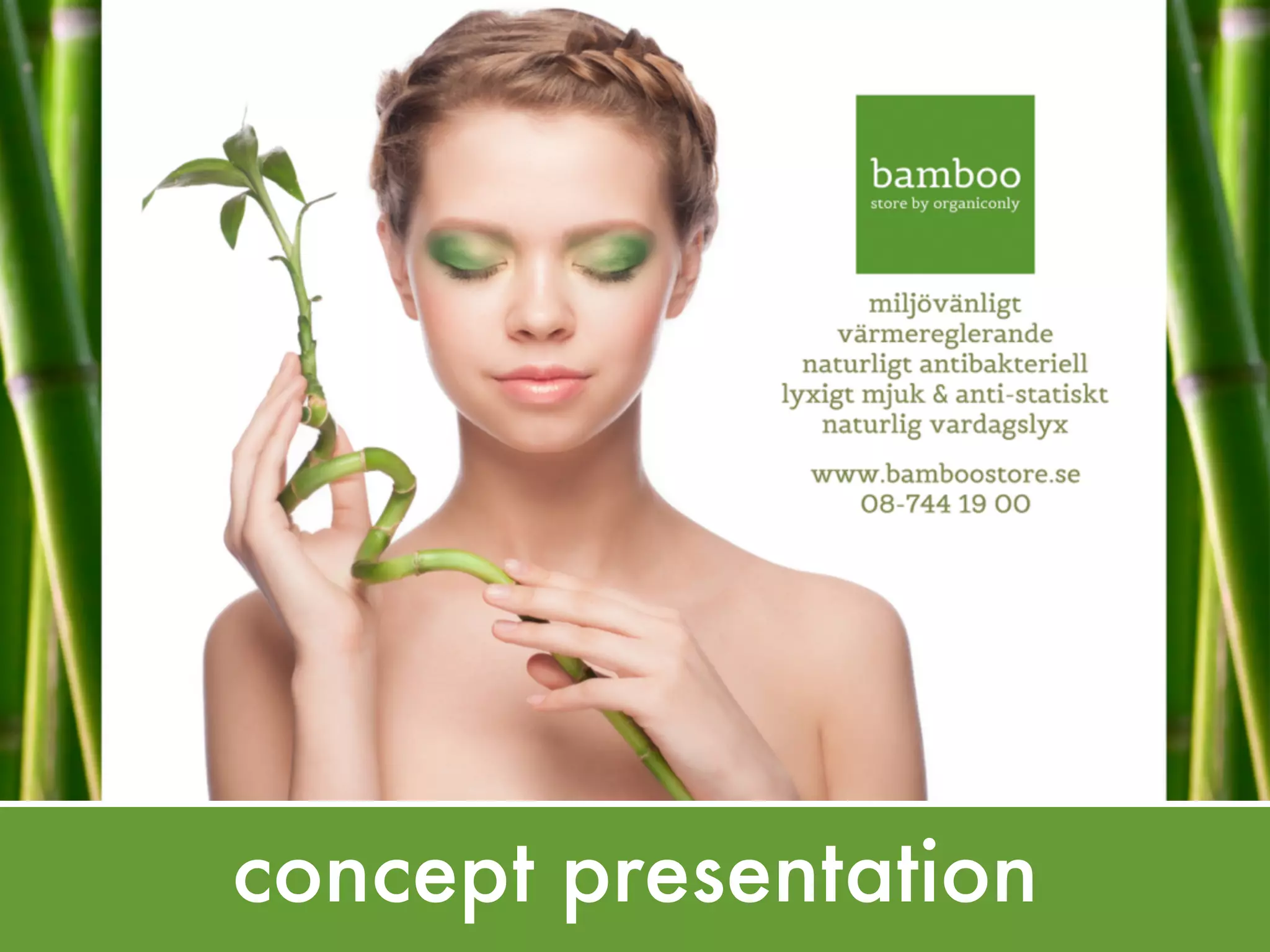 bamboo store concept presentation | PPT