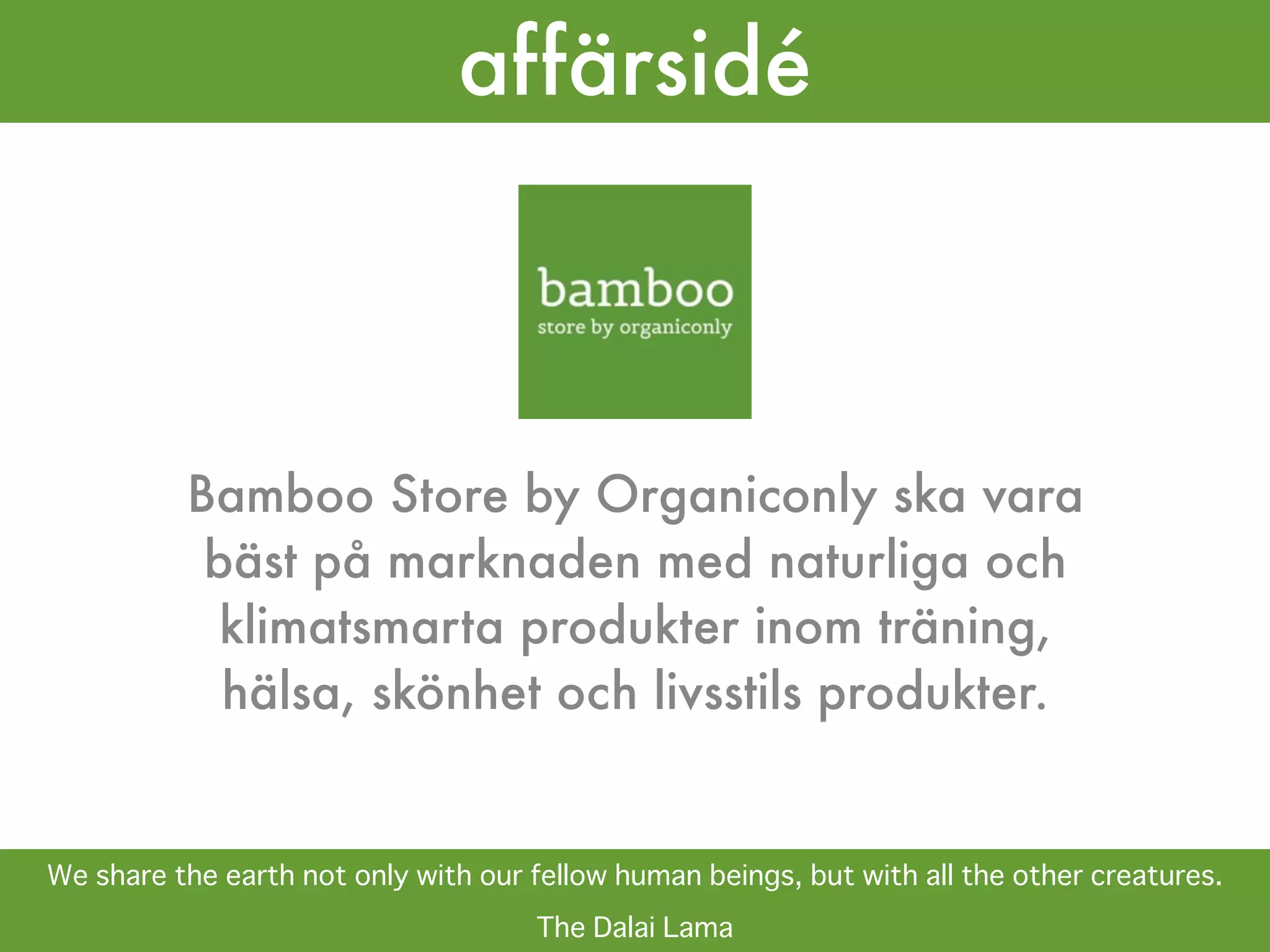 bamboo store concept presentation | PPT