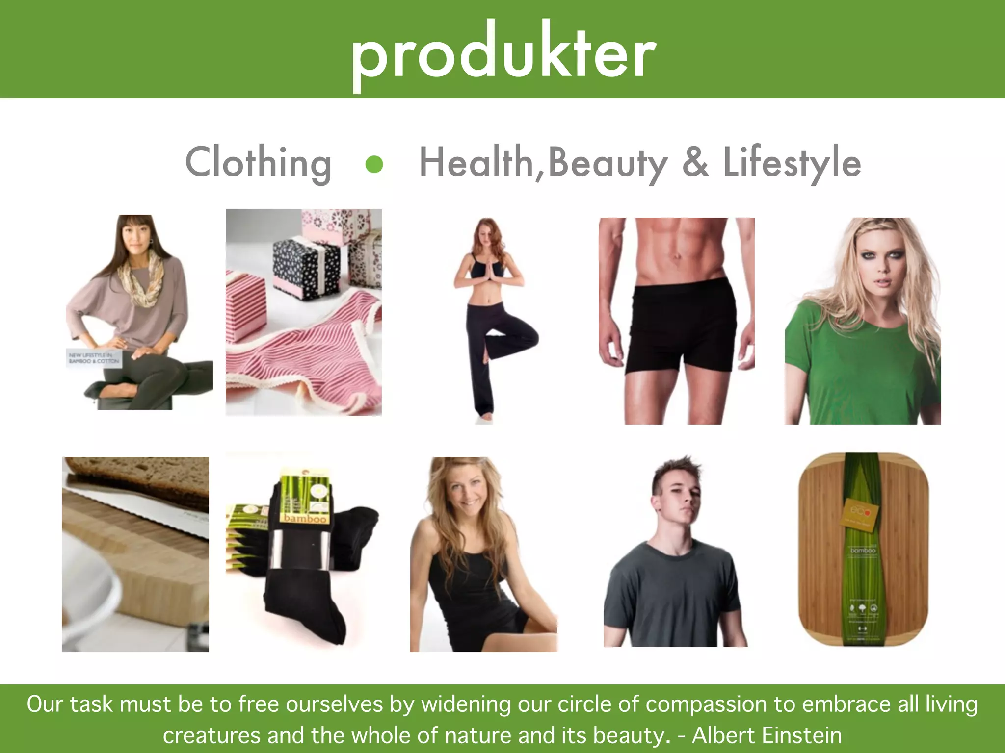 bamboo store concept presentation | PPT