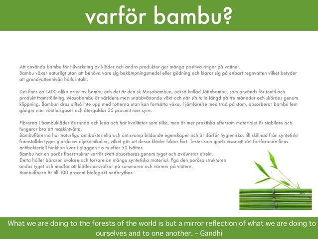 bamboo store concept presentation | PPT