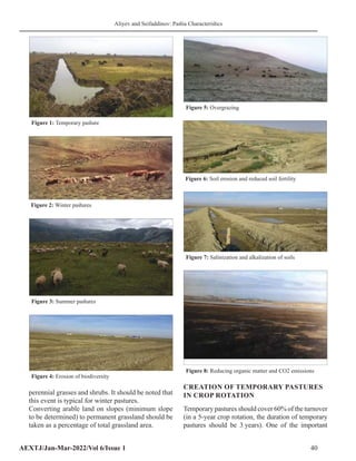 Pastia Characteristics and Improved Use Efficiency | PDF