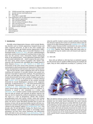 Wiley et al PRER | PDF | Eye and Vision Conditions | Diseases and ...