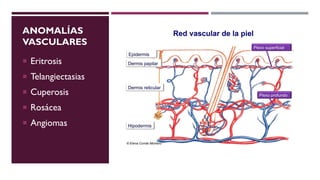 Afecciones de la piel | PDF