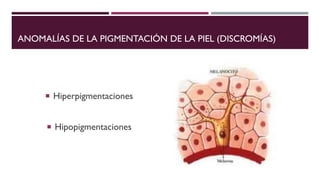 Afecciones de la piel | PDF