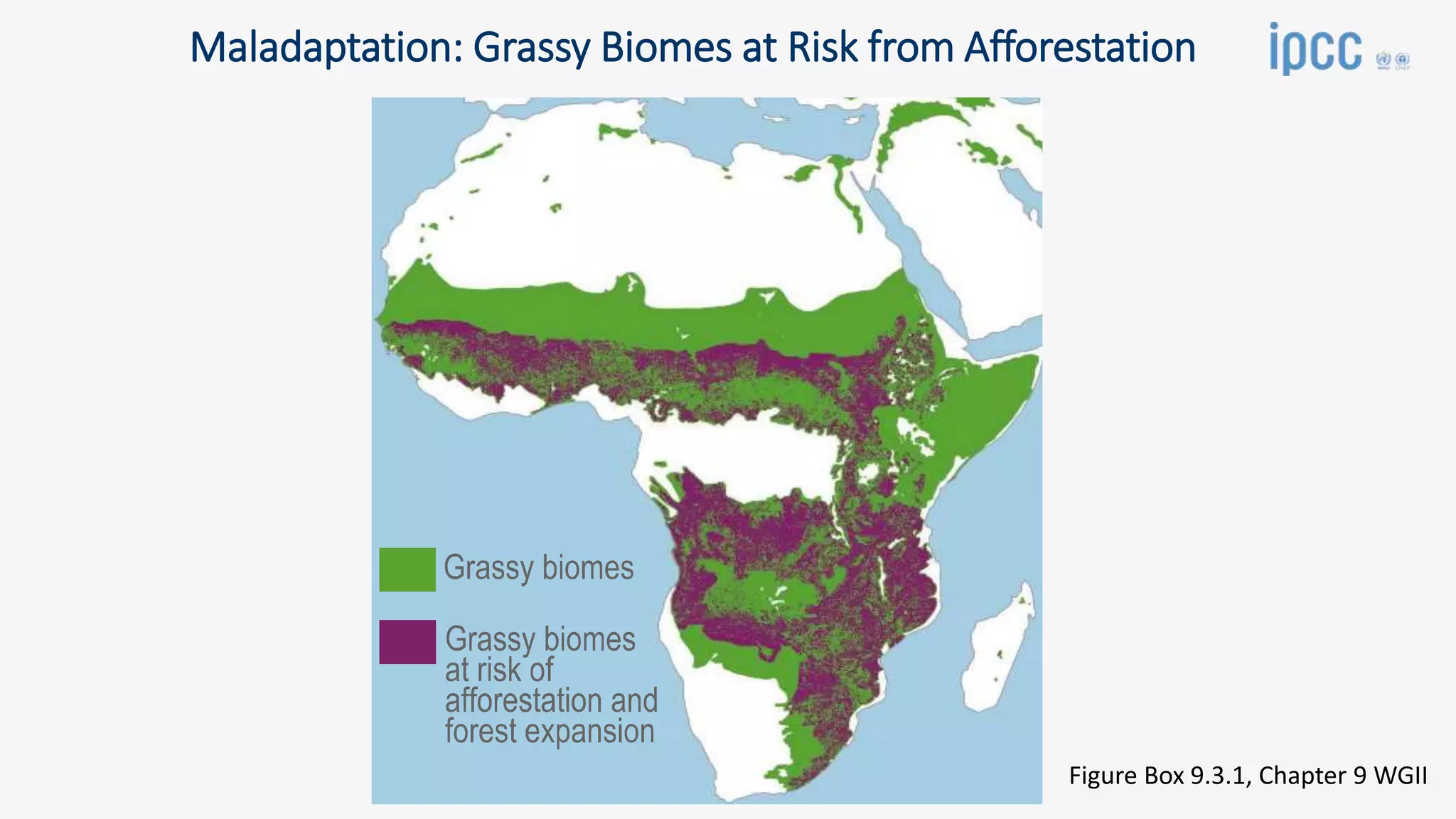 Adaptation in African ecosystems | PPTX