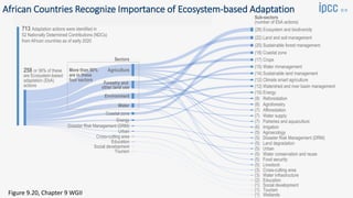 Adaptation in African ecosystems | PPTX