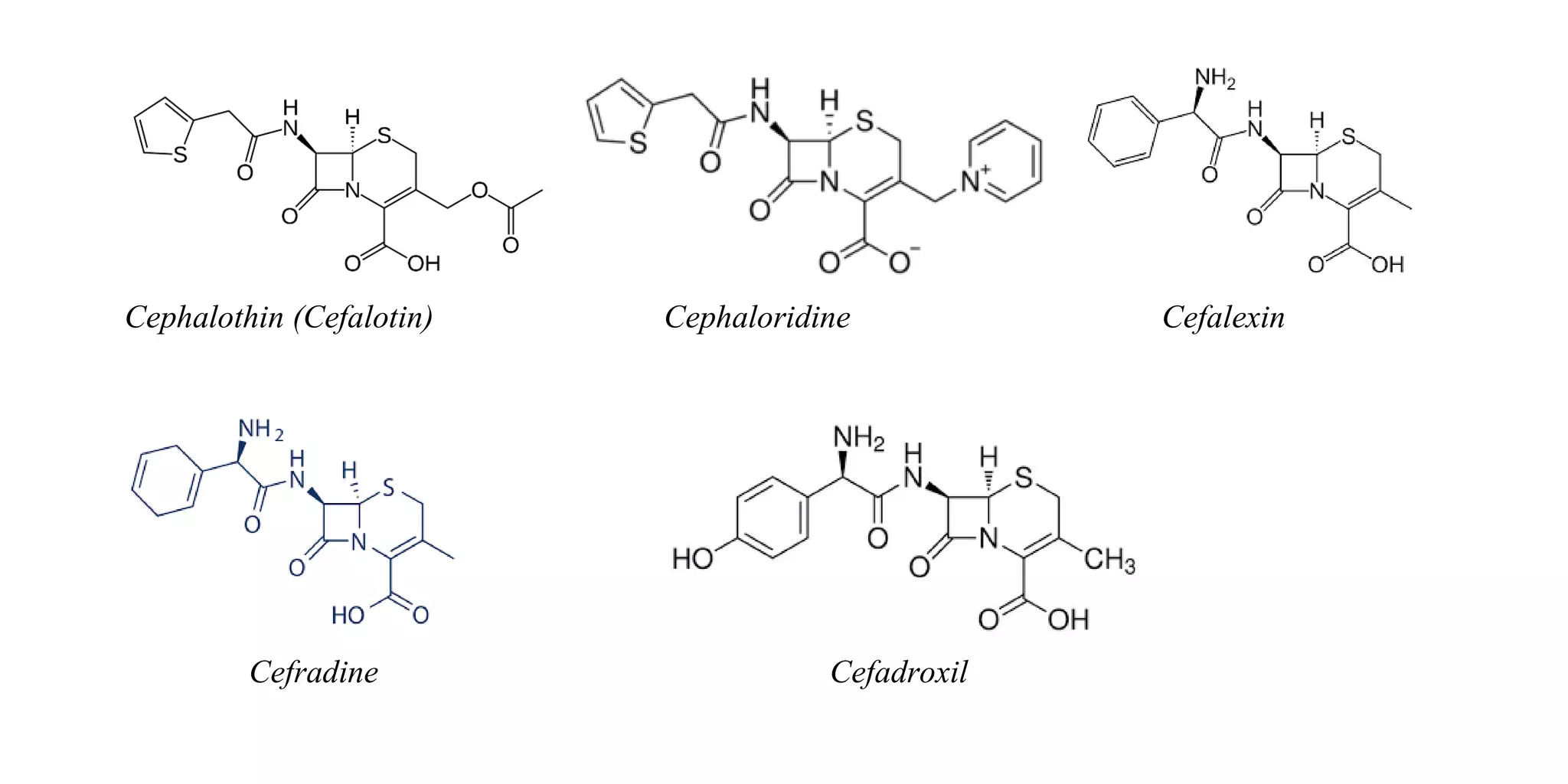 Cephalosporins | PDF
