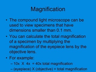05_a_the_microscope.ppt