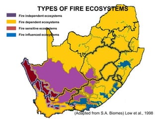 Wildfires in South Africa | PDF | Environment | Science