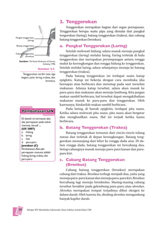 Sistem Pernapasan pada Manusia | PDF