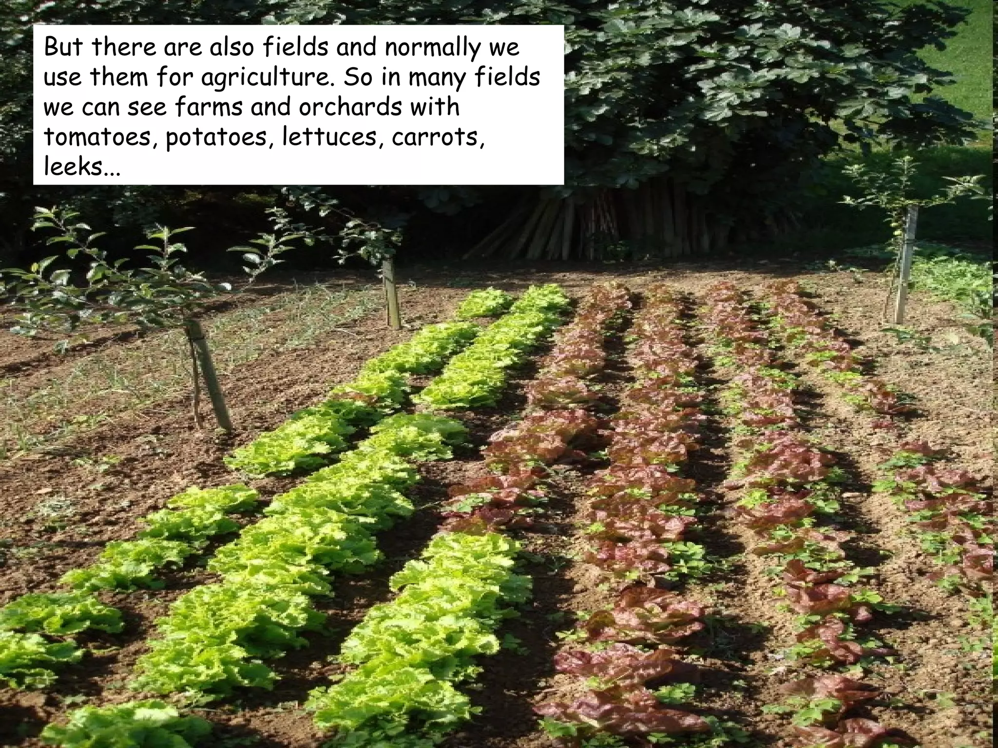 05 Basque culture and heritage - Landscape | PPS | Rail Travel | Travel ...