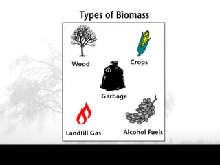 Chapter 5 - Biomass and biofuels bioenergy | PPT