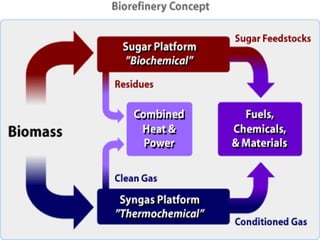 jntuk mtech cse waste to energy Biomass5 | PPT