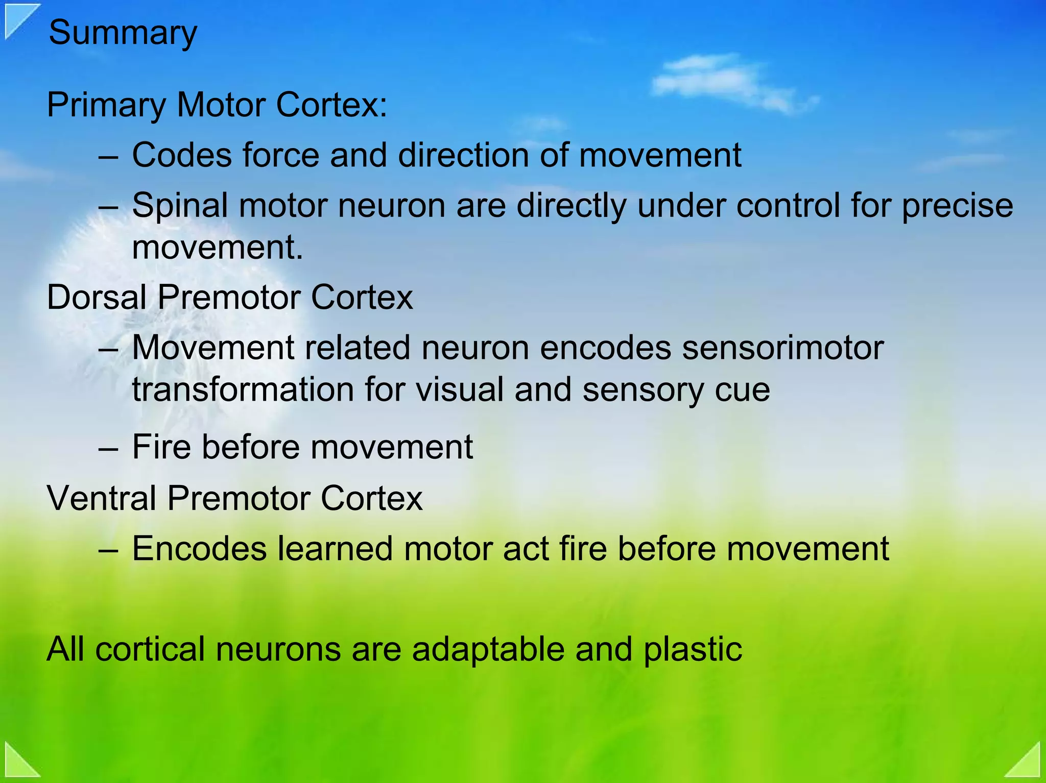 05b motor system upper motor neuron | PPT